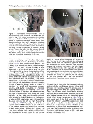 fox2012 (1).pdf
