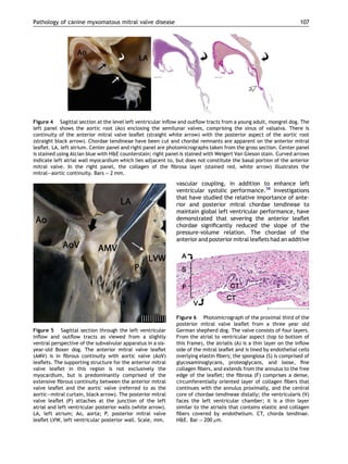 fox2012 (1).pdf