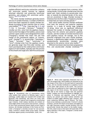 fox2012 (1).pdf