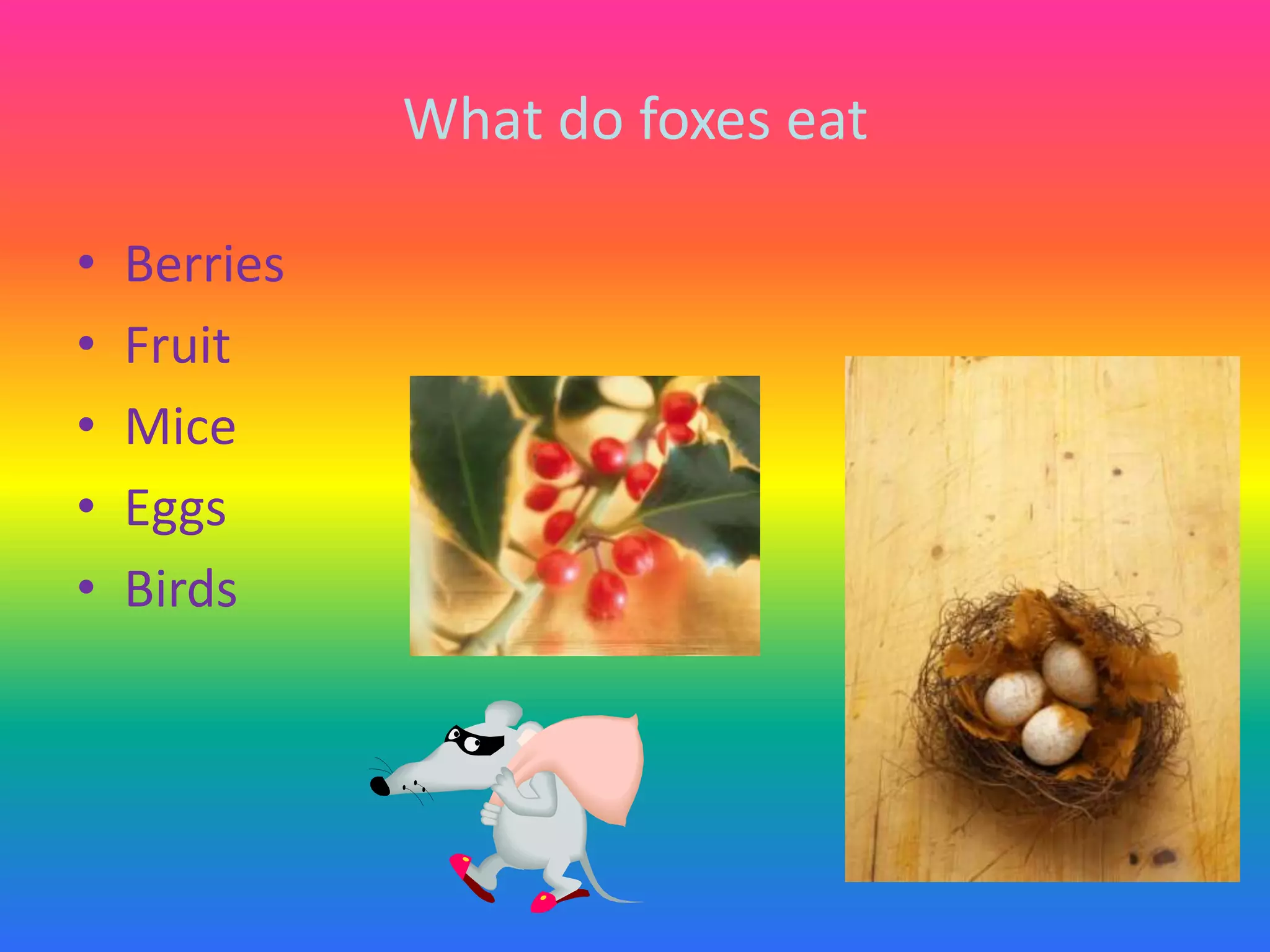 Foxes | PPSX
