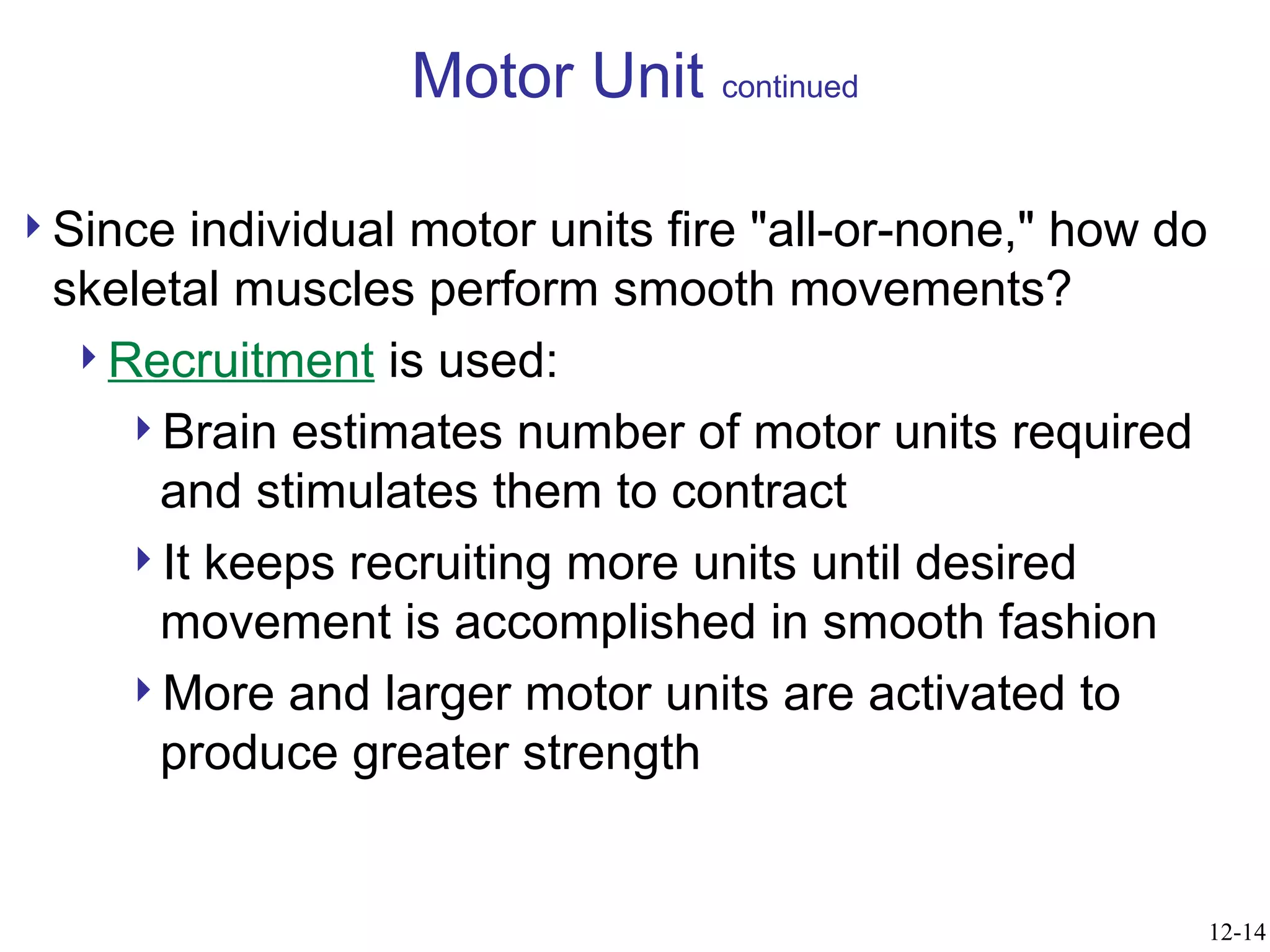 Fox muscles | PPT