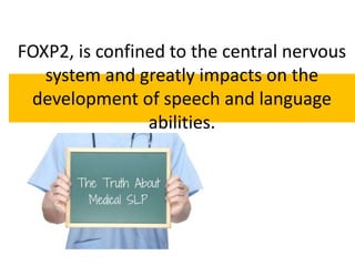 FOXP2 gene mutated in a speech and language disorder | PPTX