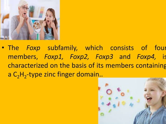 FOXP2 gene mutated in a speech and language disorder | PPT