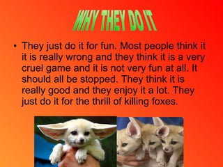 Fox Presentation | PPT