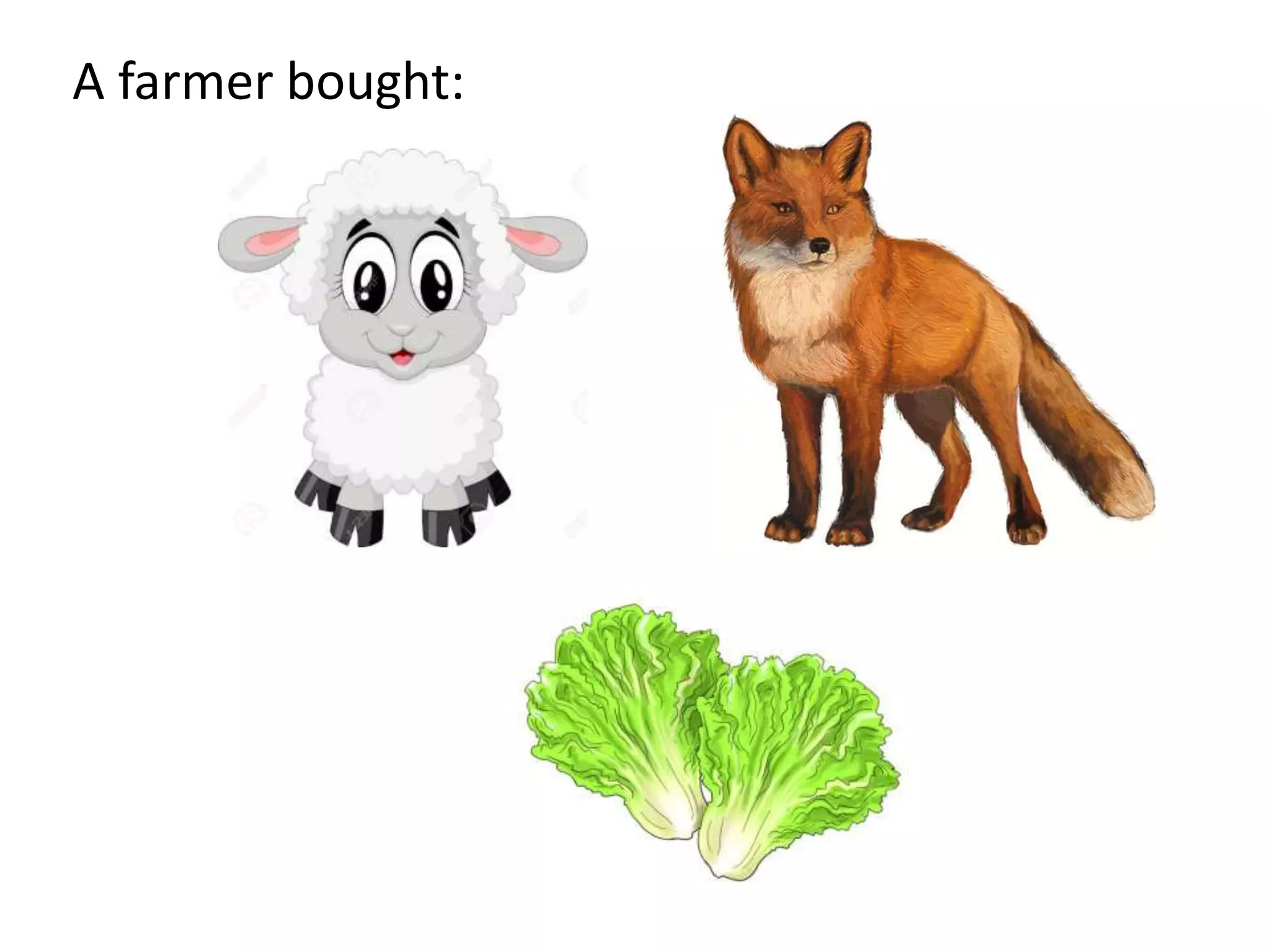 Fox sheep and lettuce | PPTX | Agriculture | Industries