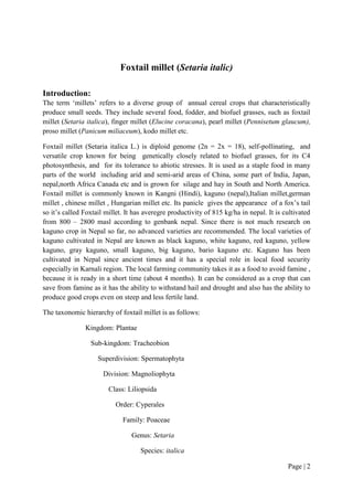 Foxtail millet (Setaria italica L.) / कागुनो /रैथाने वाली | PDF