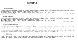 Foxtrot C2: Forced Payload Delivery | PPT