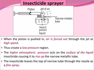 Force and Pressure | PPT