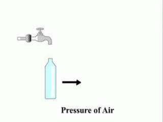 Force and pressure | PPTX