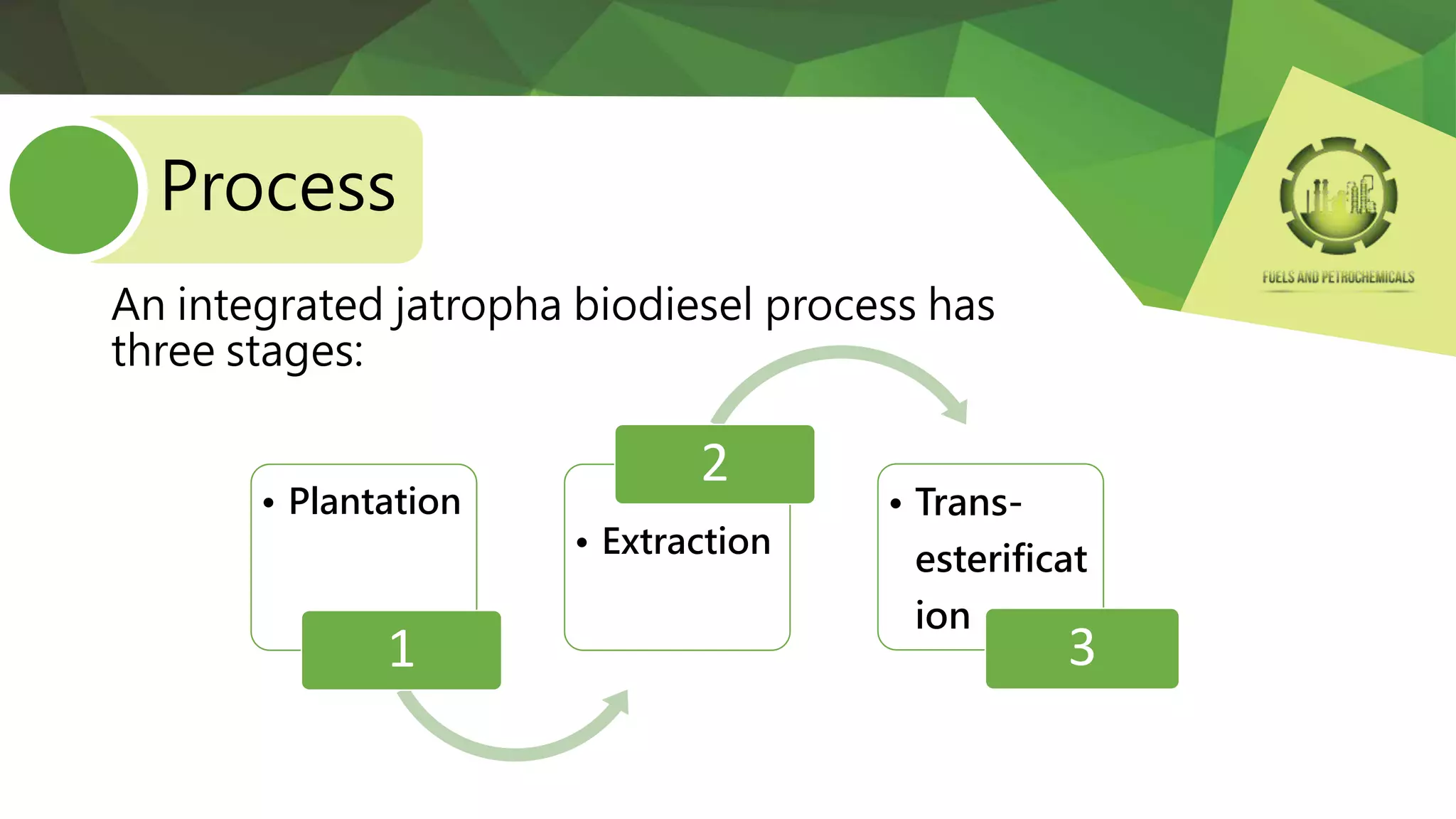 Production of Bio-diesel from Jatropha | PPTX