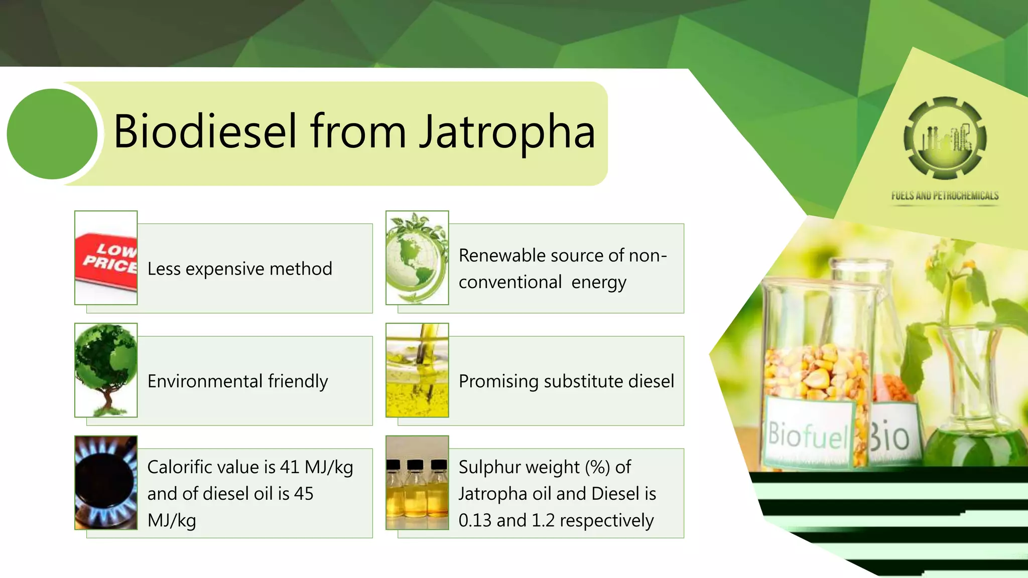Production of Bio-diesel from Jatropha | PPTX
