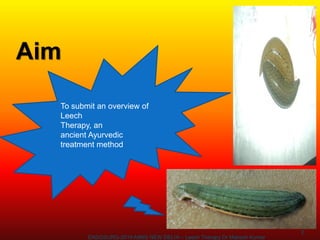 Leech and Leech therapy :scientific overview and its application | PPT