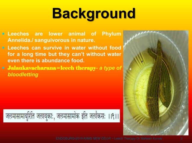 Leech and Leech therapy :scientific overview and its application | PDF ...