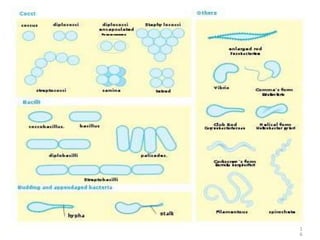 FP6235 Ppt.pptx Improved General Method for lethality | PPT