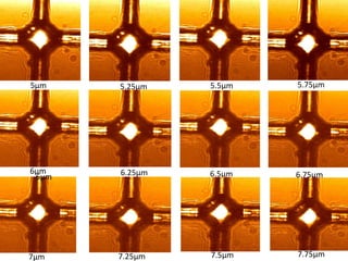 Focal Plane Array optical sectioning | PPT | Free Download