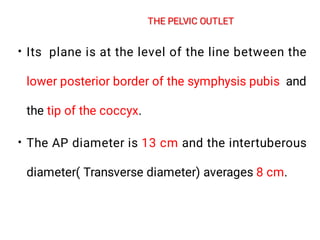 Feto pelvic disproportion.........hhhppt. | PPT