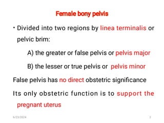 Feto pelvic disproportion.........hhhppt. | PPT