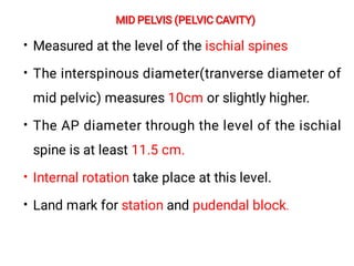 Feto pelvic disproportion.........hhhppt. | PDF