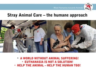 Birth Control Stray Animals | PPT