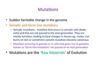 FPE - Lec 22-23 - Mutation, DNA Repair and Recombination.ppt