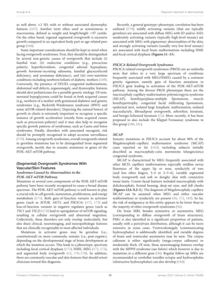 Diagnostic approach to macrocephaly in children | PDF