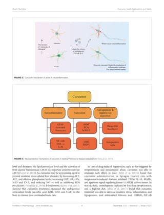 Turmeric and Its Major Compound Curcumin on Health: Bioactive Effects ...