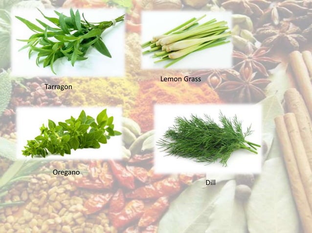 condiments, herbs and spices | PPTX
