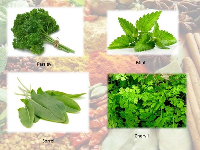 condiments, herbs and spices | PPTX
