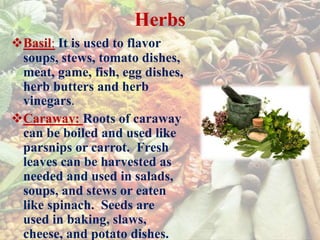 condiments, herbs and spices | PPTX