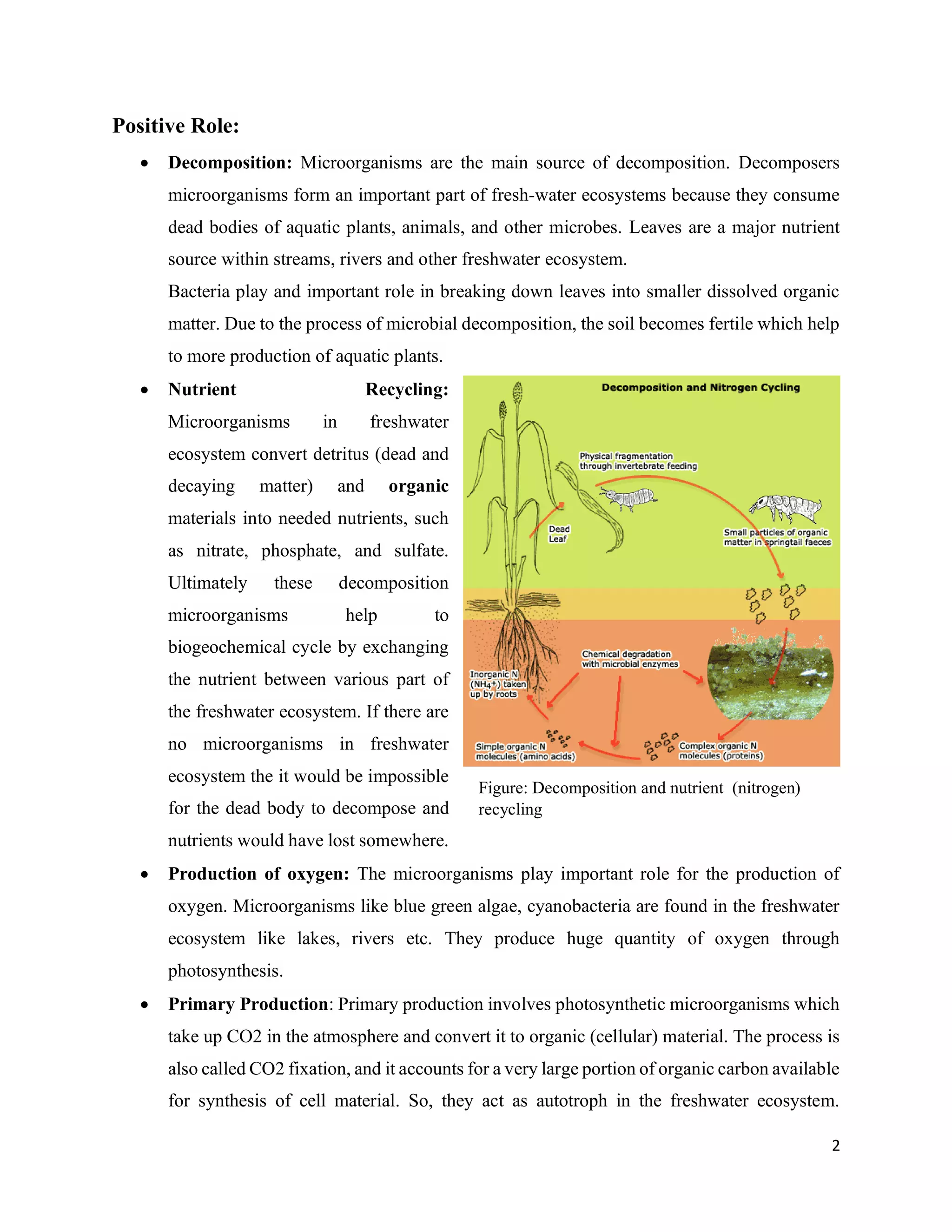 Role of Microorganisms in Freshwater Ecosystem. | PDF
