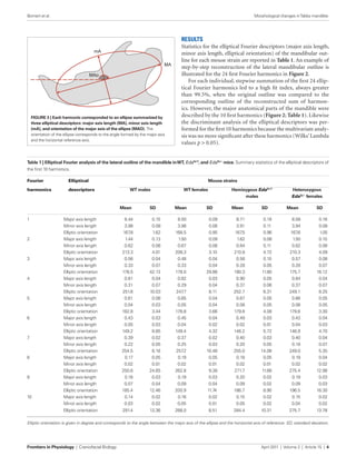 Fphys 02-00015 | PDF