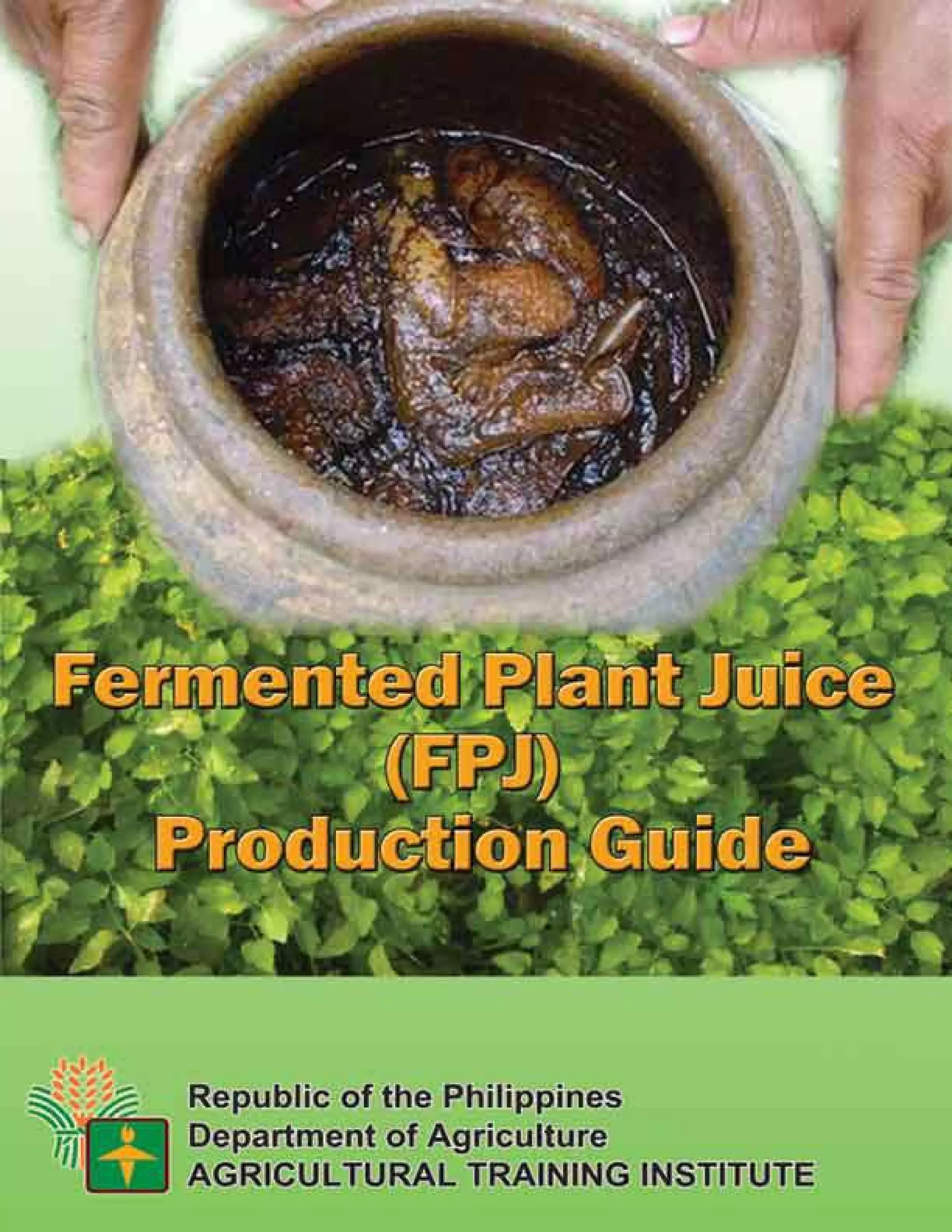 Organic Fertilizer 3 | Fermented Plant Juice (FPJ) | PDF