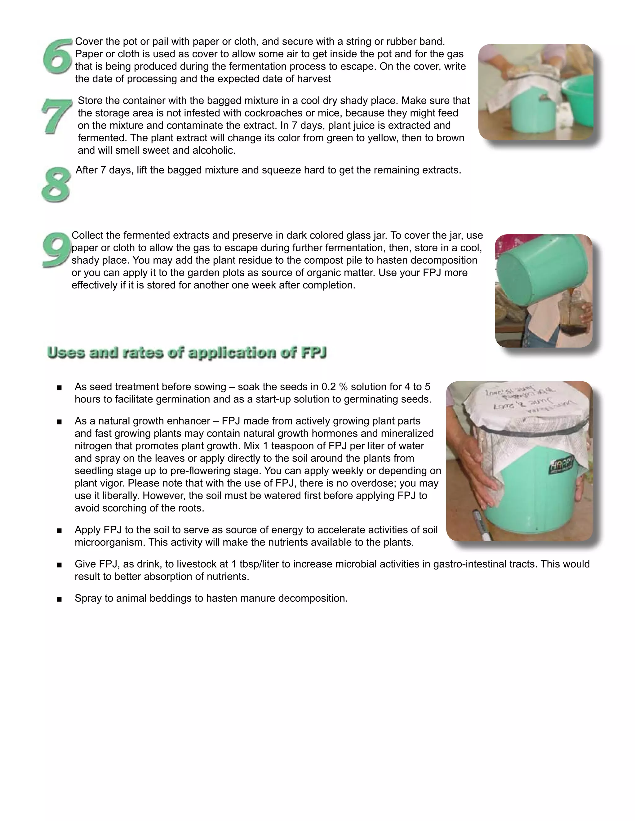 Organic Fertilizer 3 | Fermented Plant Juice (FPJ) | PDF