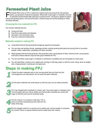 Organic Fertilizer 3 | Fermented Plant Juice (FPJ) | PDF