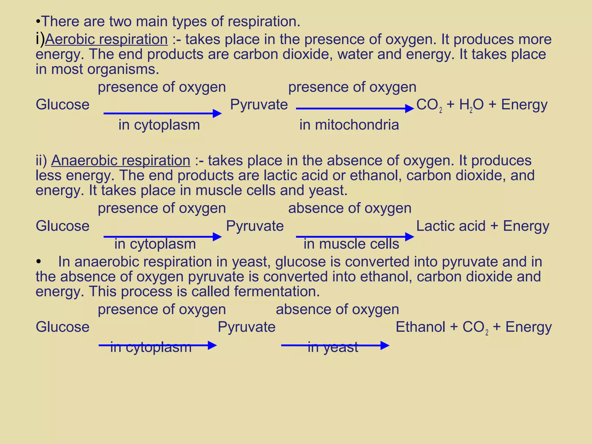 LIFE PROCESSES | PPT