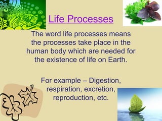 LIFE PROCESSES | PPT
