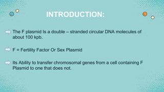F plasmid | PPTX