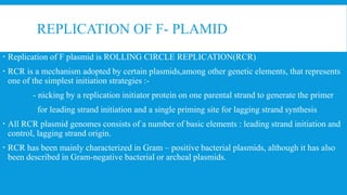 F plasmid | PPT
