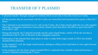 F plasmid | PPT
