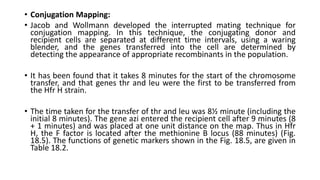 F plasmid organisation | PPTX