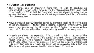 F plasmid organisation | PPTX