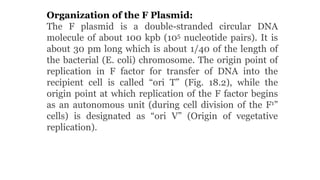 F plasmid organisation | PPTX
