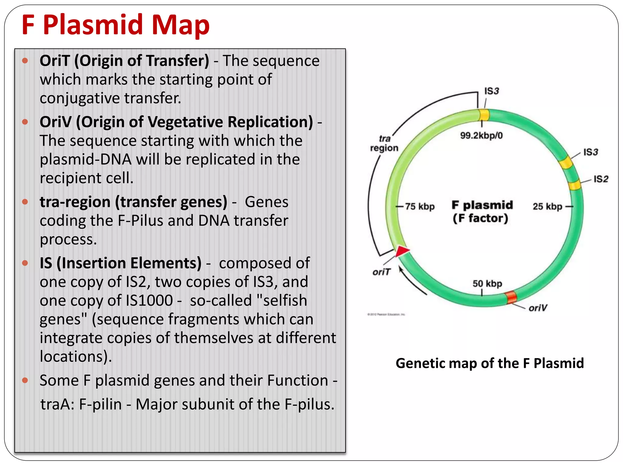 F Plasmid PPT | PPTX
