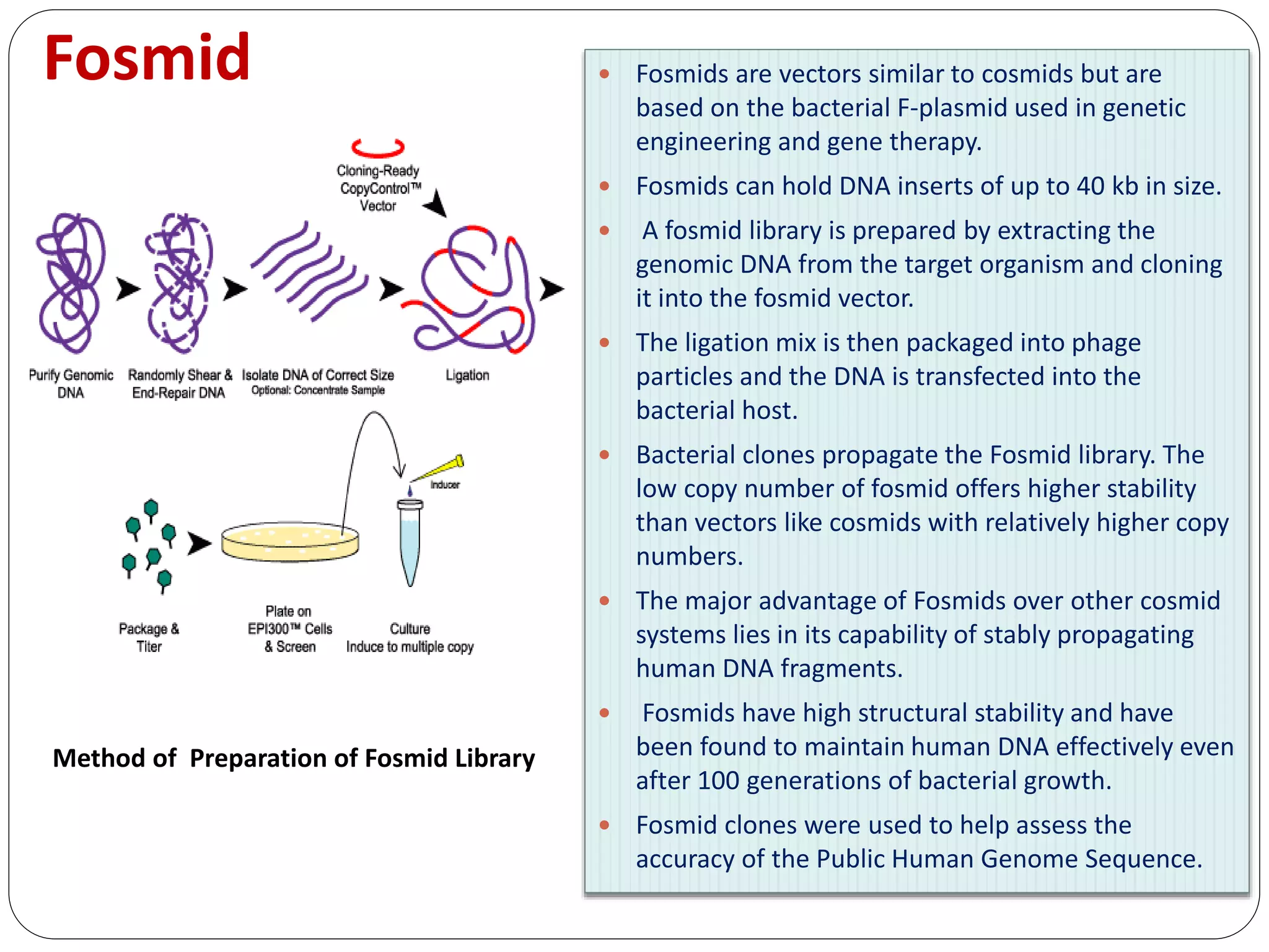 F Plasmid PPT | PPTX