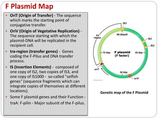 F Plasmid PPT | PPTX