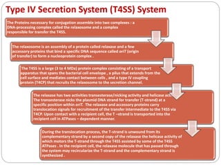F Plasmid PPT | PPTX