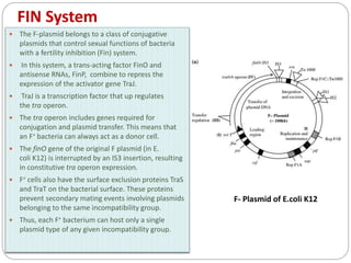 F Plasmid PPT | PPTX