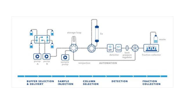 FPLC - Fast Protein Liquid Chromatography | PPTX