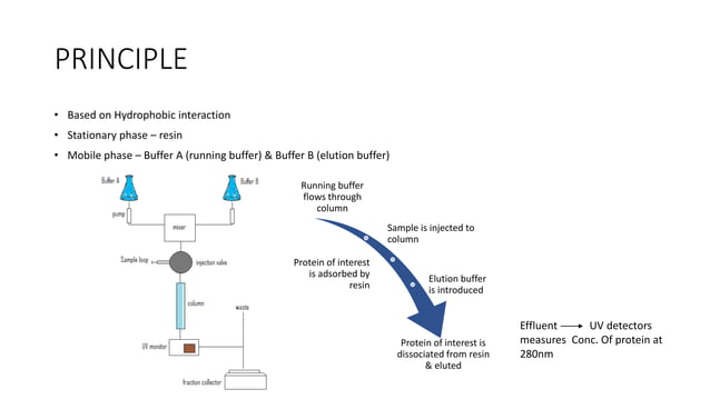 FPLC - Fast Protein Liquid Chromatography