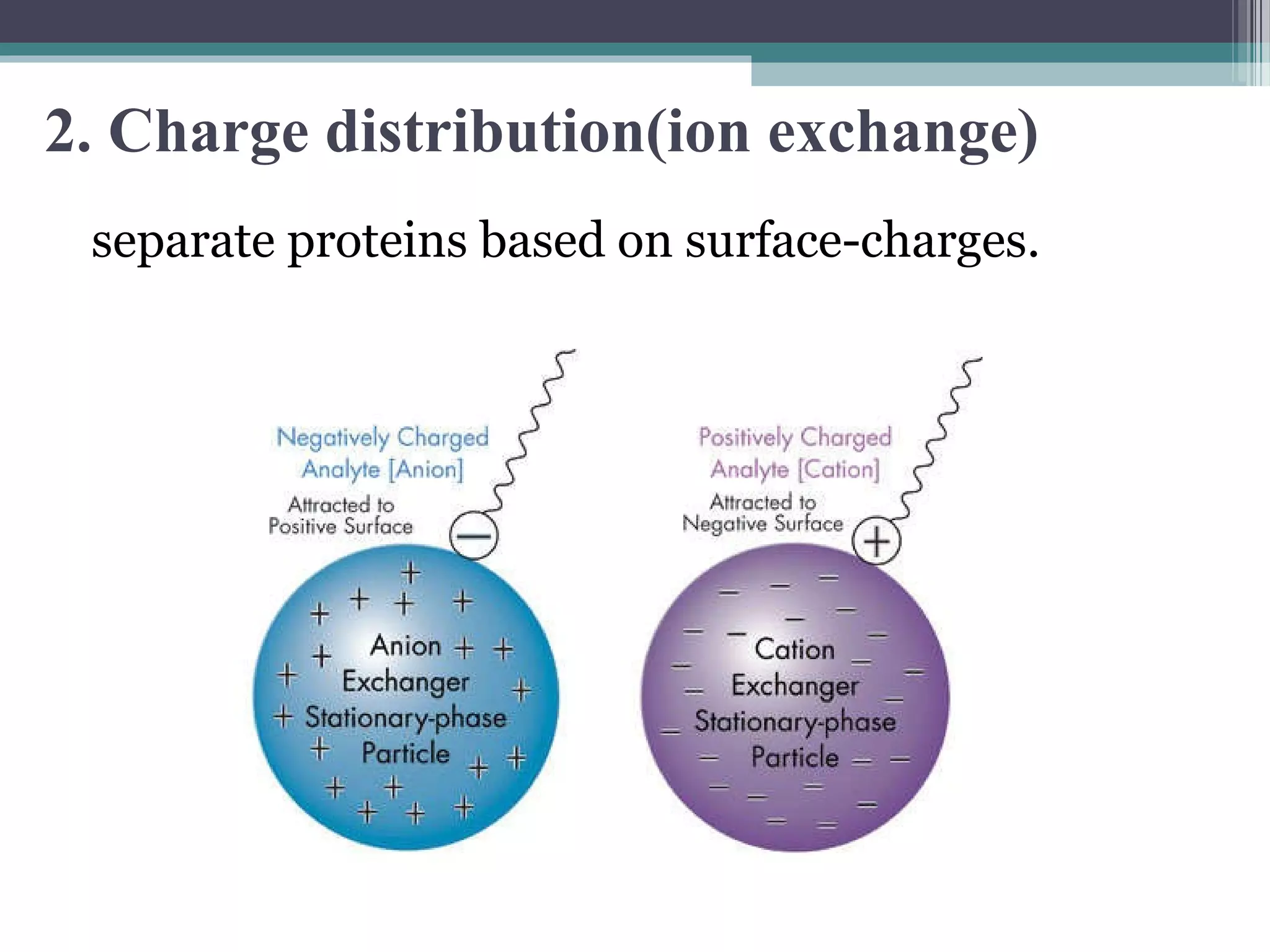Fplc(fast protein liquid chromatography ) | PPT
